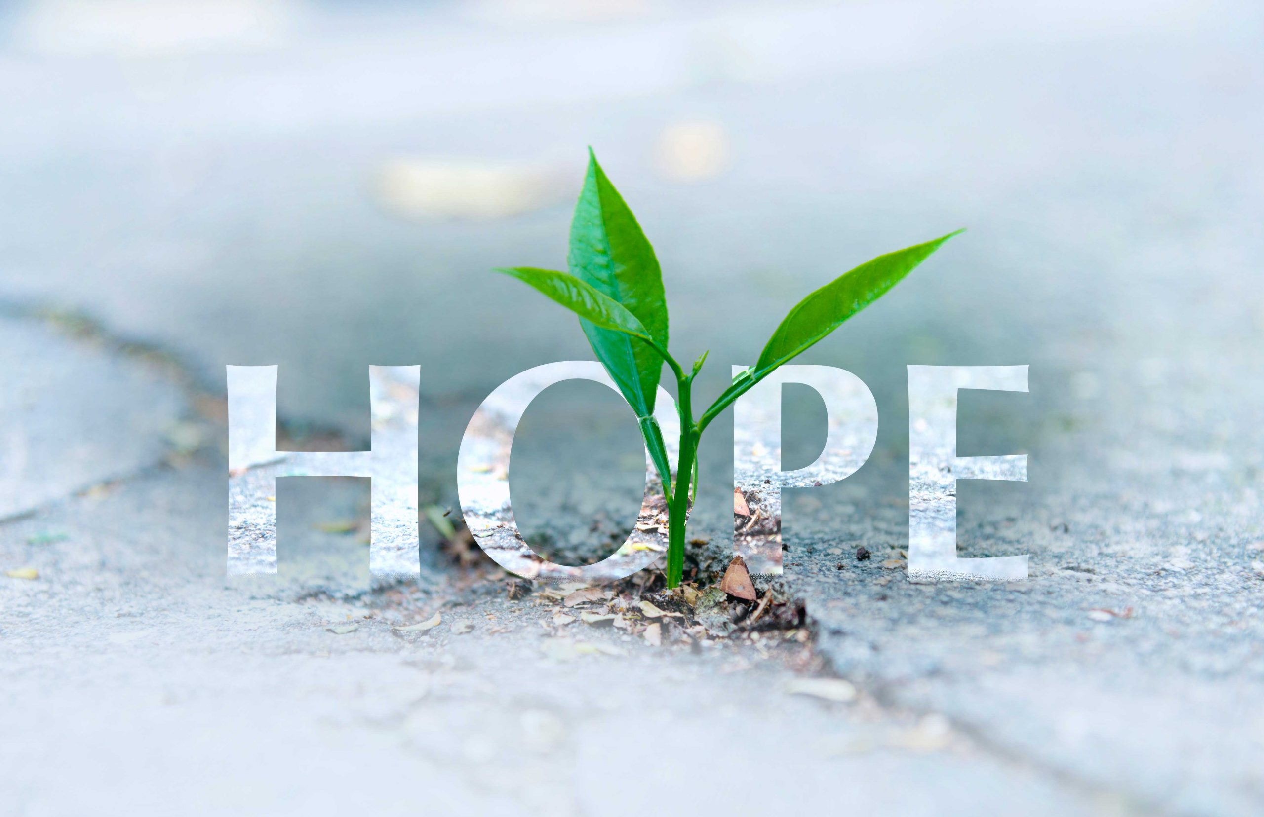What Is Hope? - Duke Social Science Research Institute